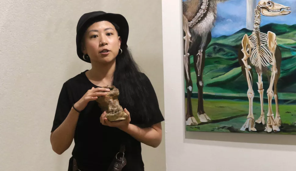 Lin Pei-Han umjetnost jest posljednje oružje koje imamo